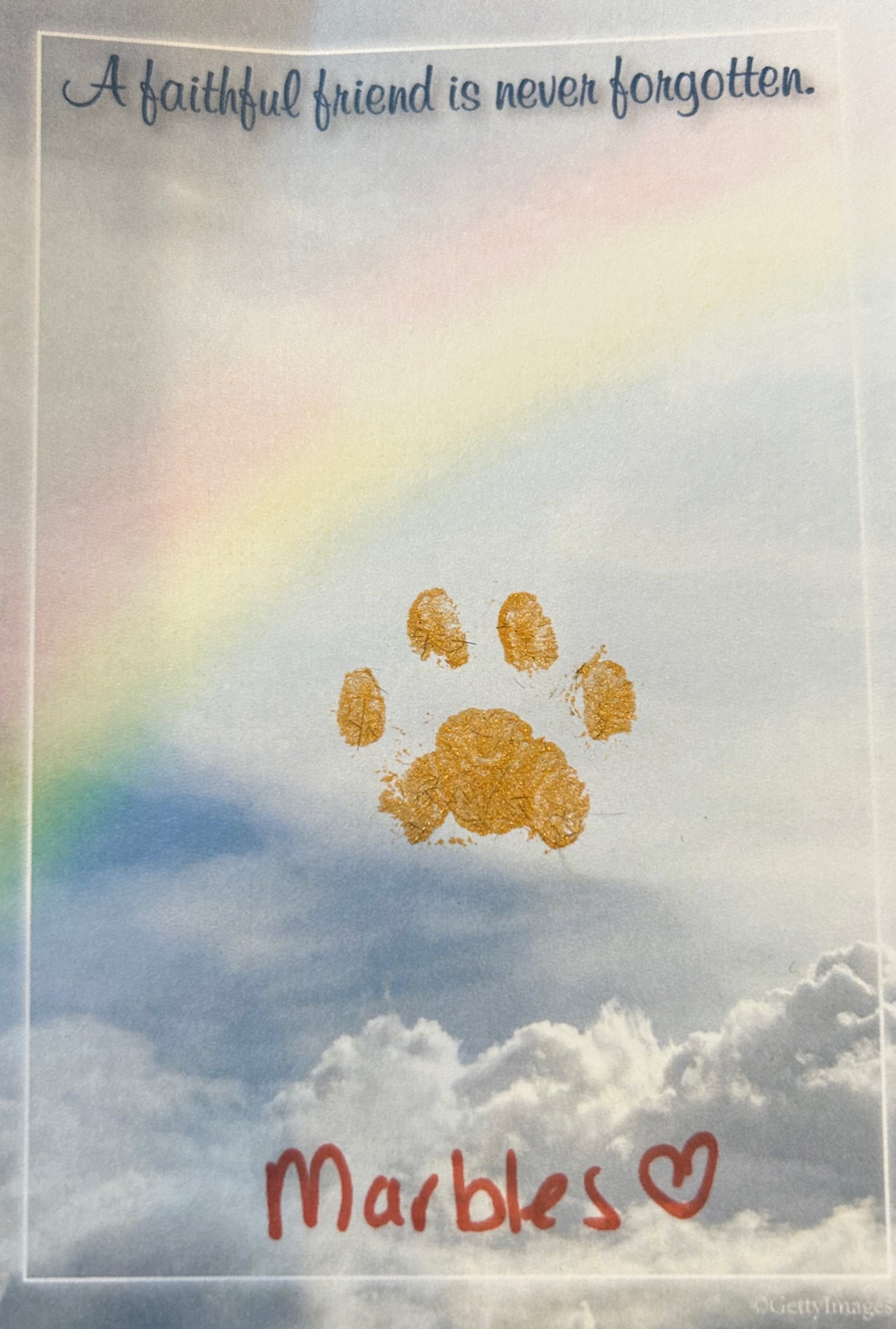 Saying Goodbye to a (Furry) Friend – Language of Friendship