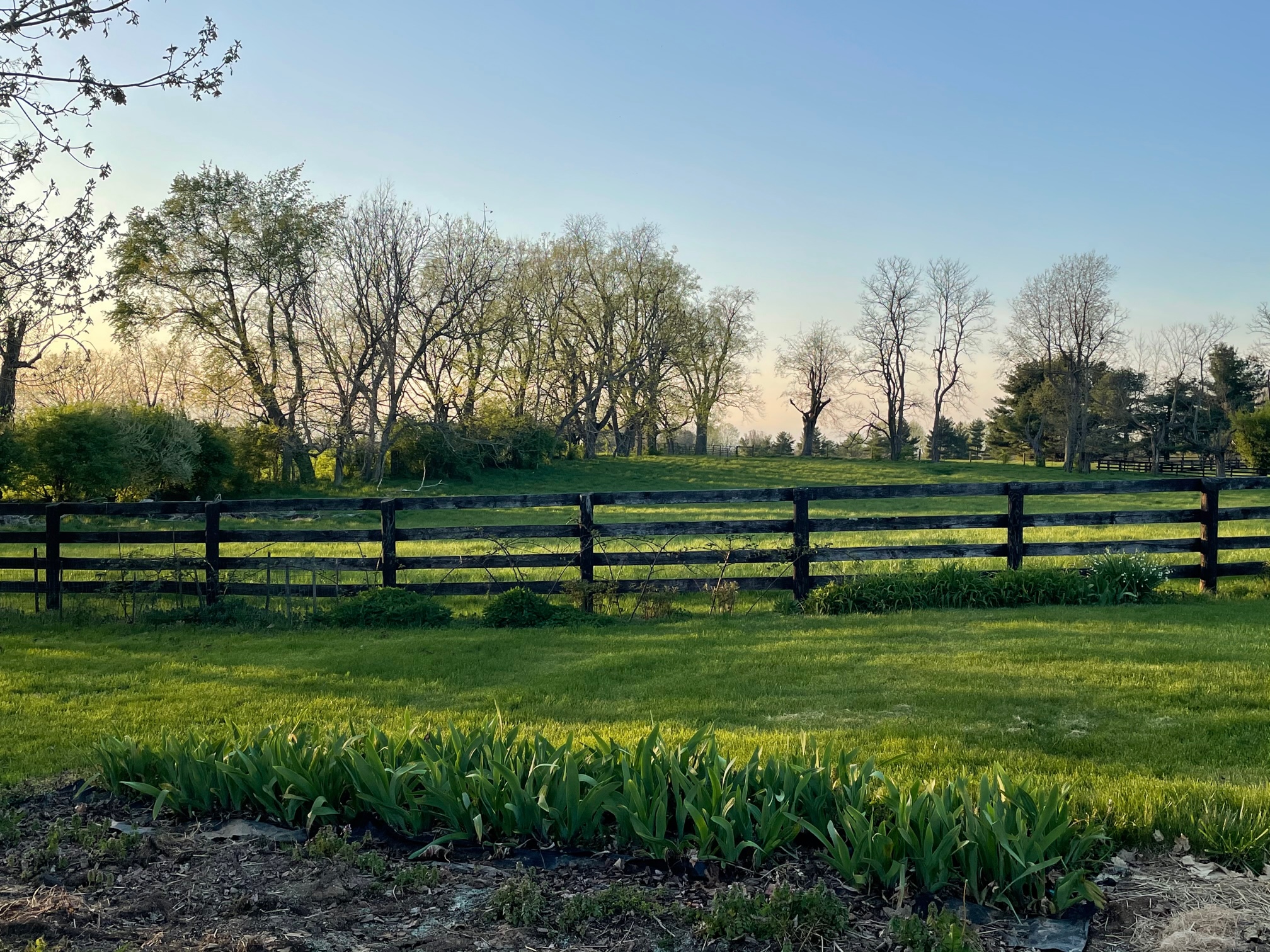 April Celebrations – Language of Friendship